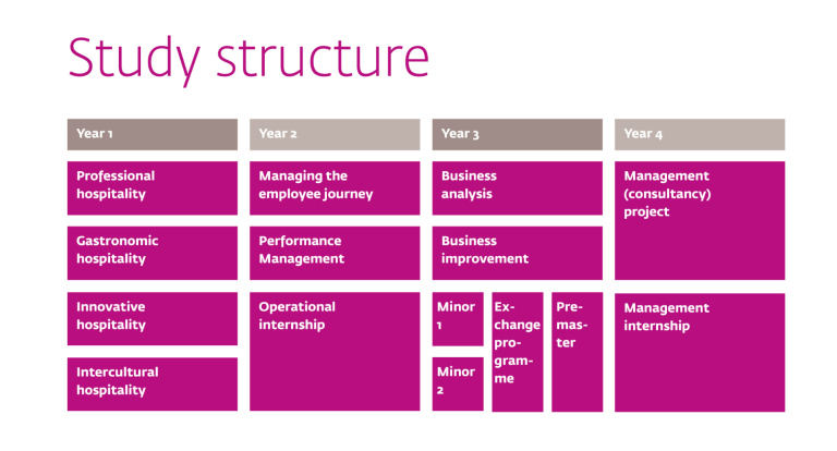 Study programme 4-year bachelor Hotel Management Maastricht ...